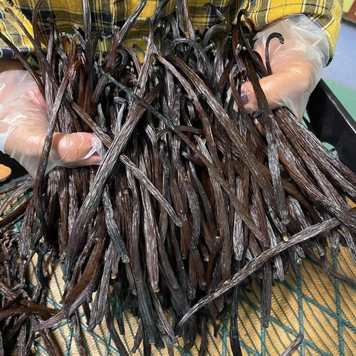 Our Best - 5 Premium Vanilla Beans – Valley Vanilla